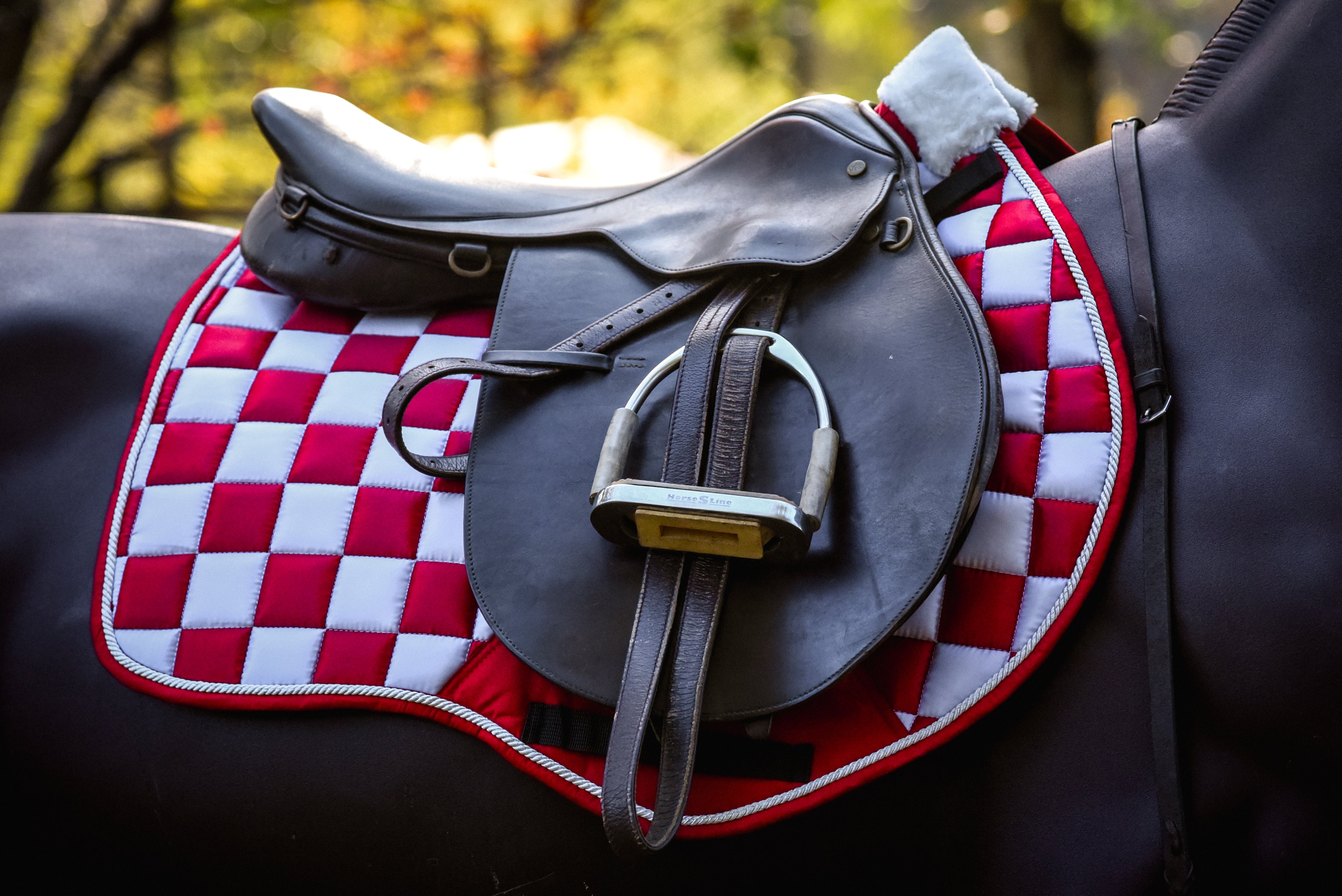 Red/white checker saddle pad – Hoof Track Designs